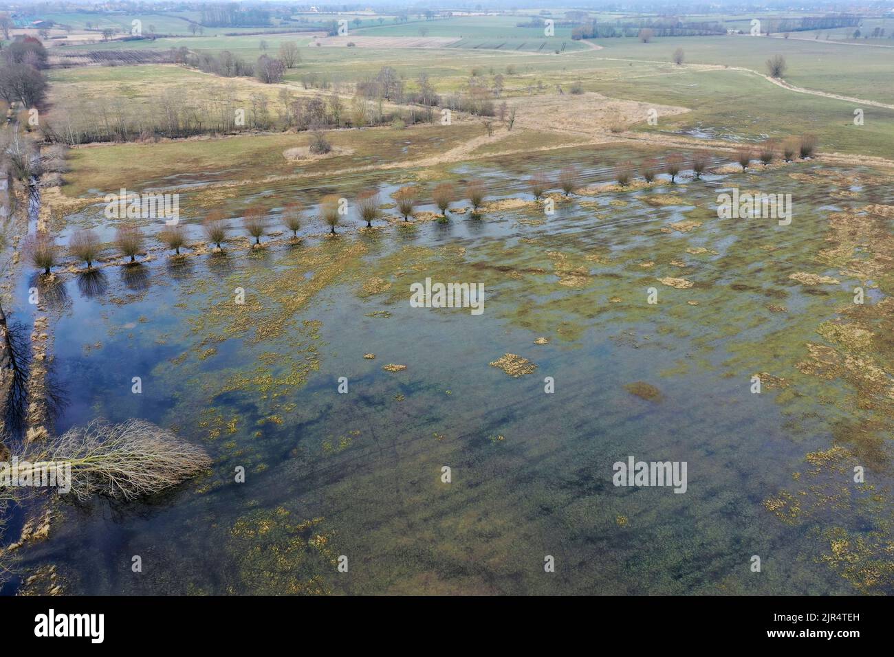 Duvenseer Moor at flood, aerial view February 2022, Germany, Schleswig ...