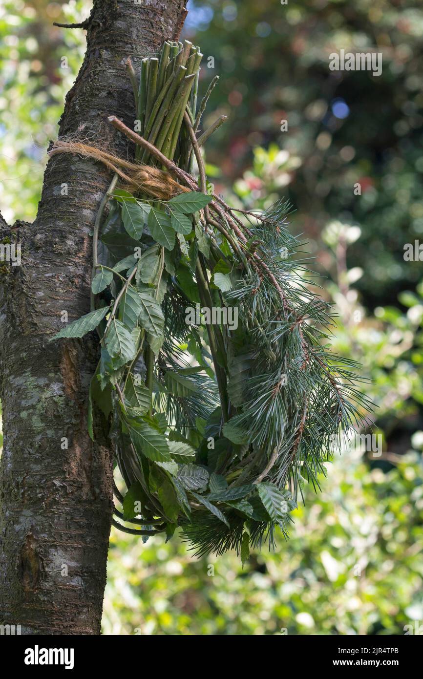 tying a nesting bag from flexible twigs and tendrils, nesting aid at a ...