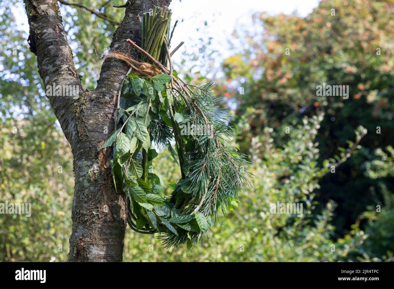 tying a nesting bag from flexible twigs and tendrils, nesting aid at a ...
