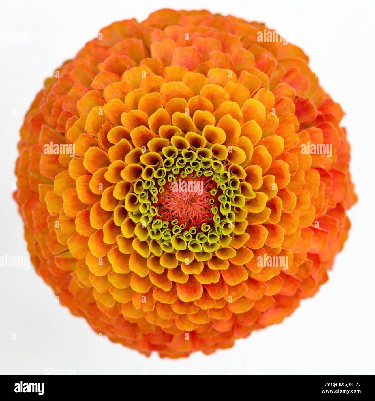 Old age and nature hi-res stock photography and images - Alamy