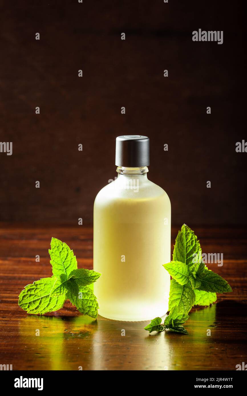 fresh mint Peppermint herb leaves and essential oil in bottle Stock ...