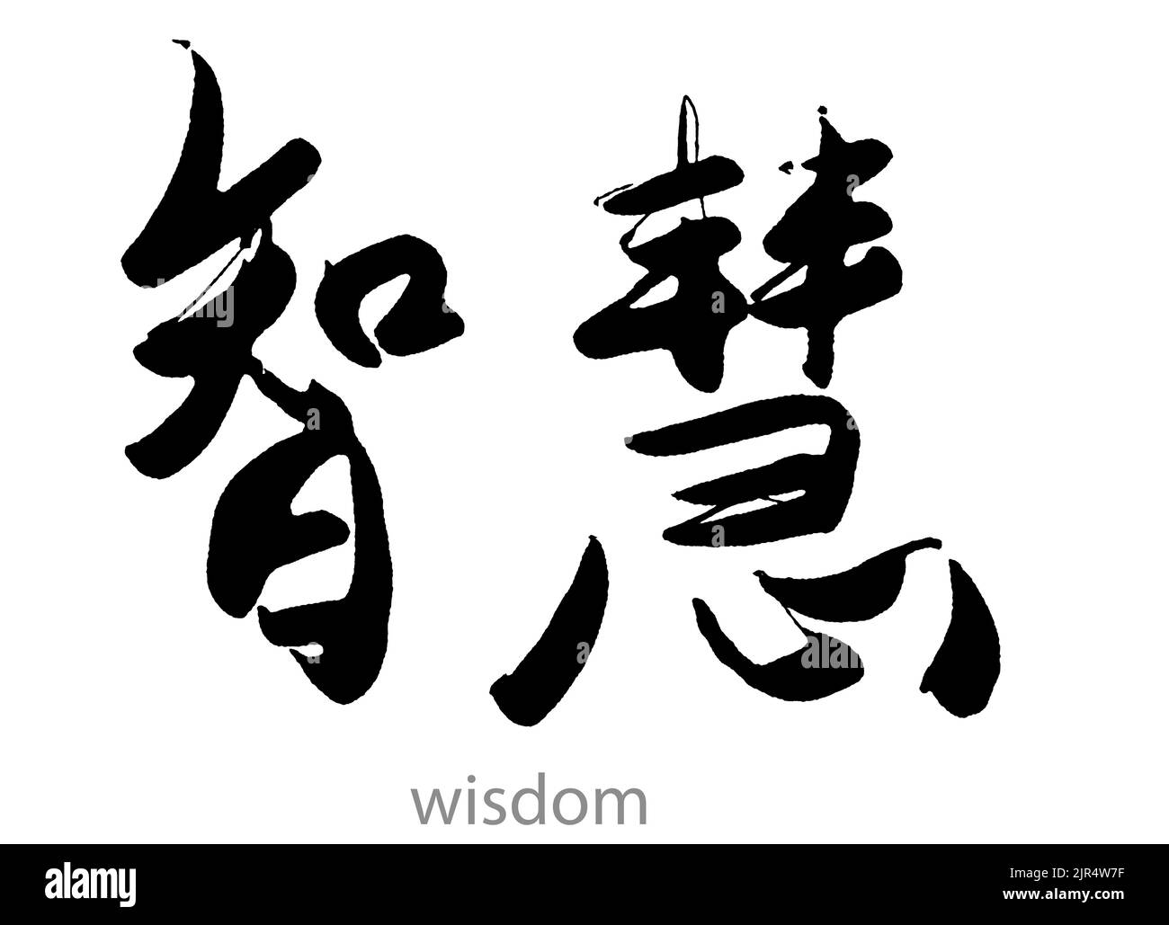 Hand drawn calligraphy of wisdom word on white background, 3D rendering ...