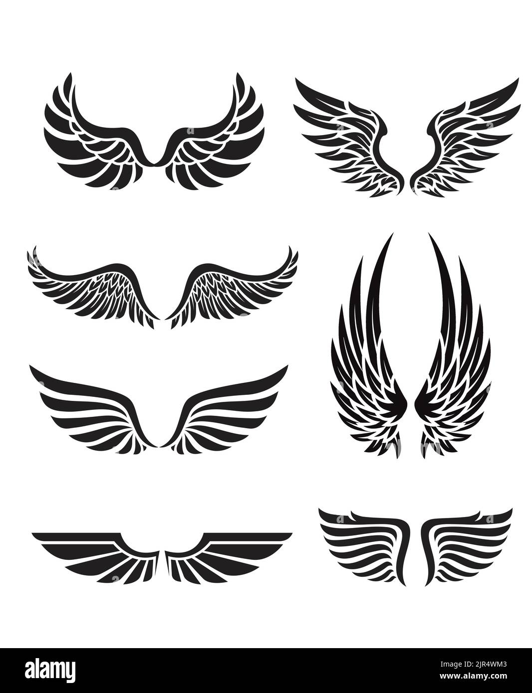 A vertical of a set of various wing designs isolated on a white ...