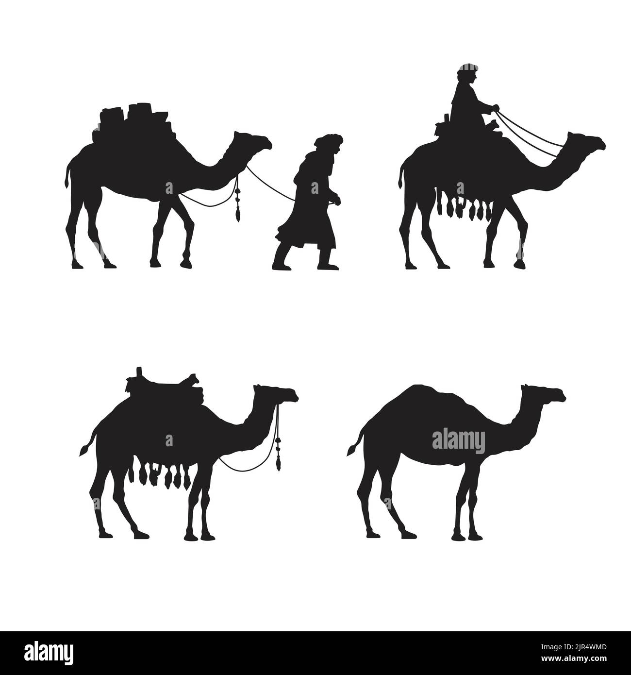 Camel Caravan Vector