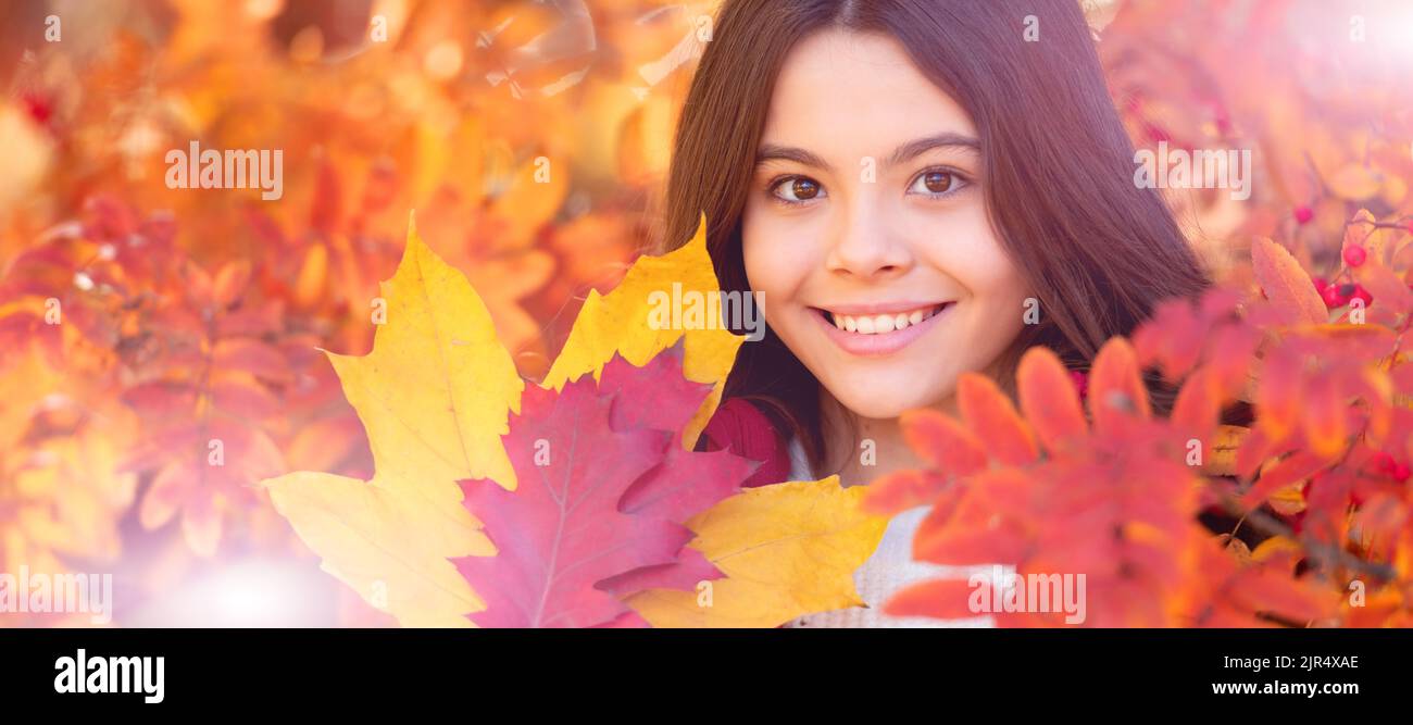 happy child with autumn colorful leaves at rowan tree, portrait. Autumn ...