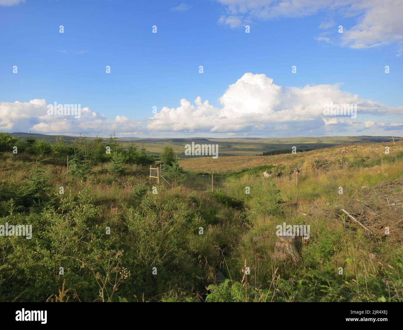 The Pennine Way National Trail Long-distance hiking trail. England. UK ...