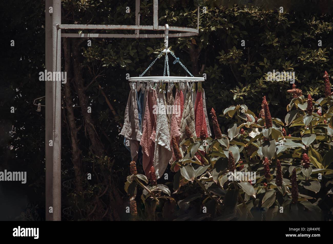 Cleaned cotton hand towels after using. Kitchen hand cloths or ...