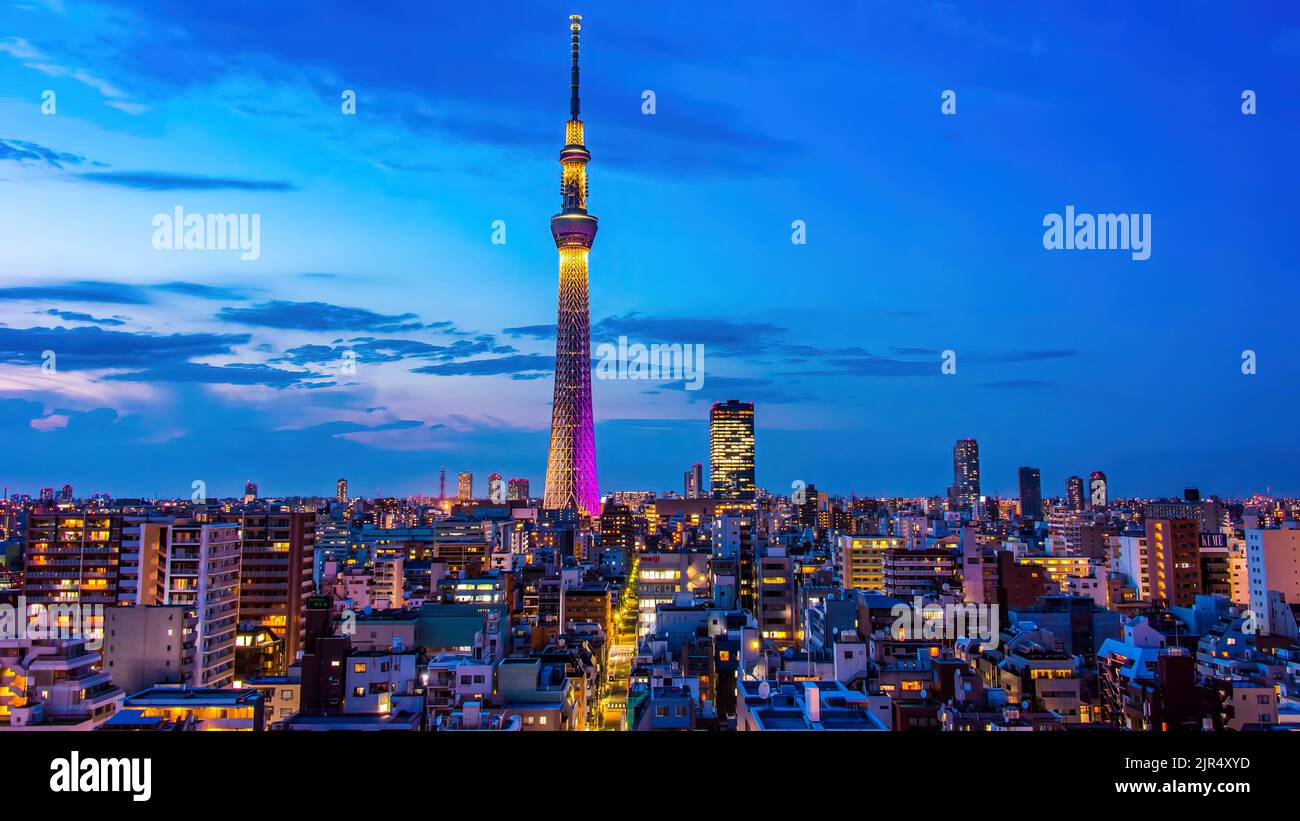 An aerial view of Tokyo skyline at night. The image shows a sprawling ...
