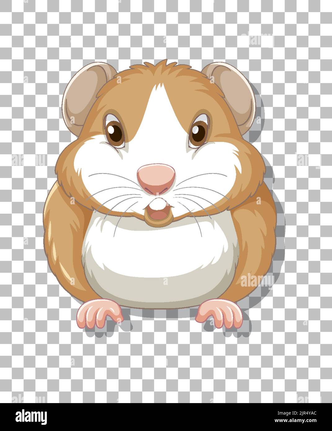 Hamster in cartoon style illustration Stock Vector Image & Art - Alamy