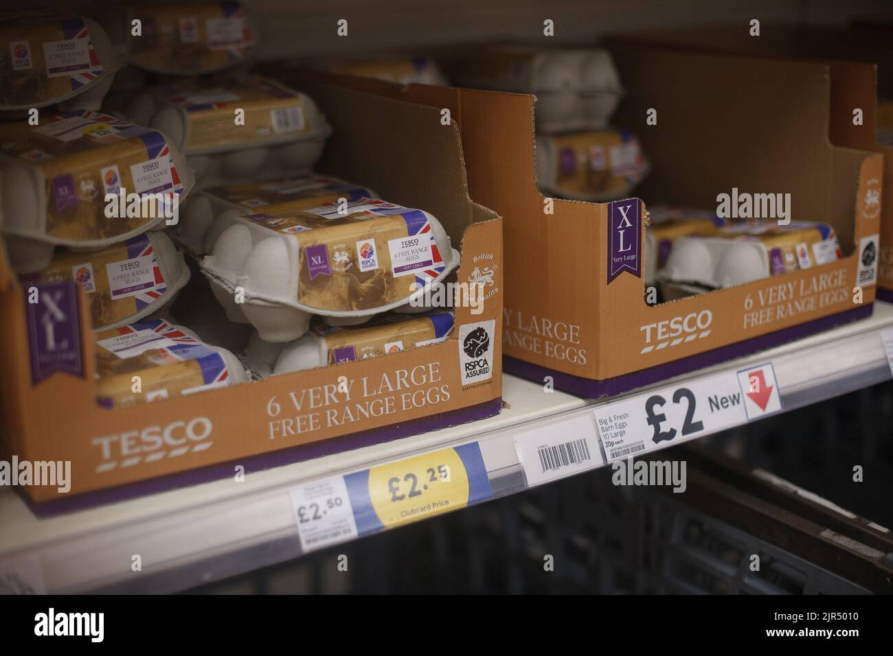 Reading, Britain. 21st Aug, 2022. Egg prices are seen on shelves at a ...