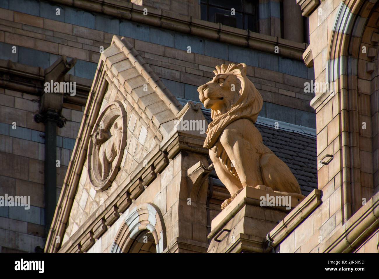 A low angle shot of historic sculptures on the Natural History Museum ...