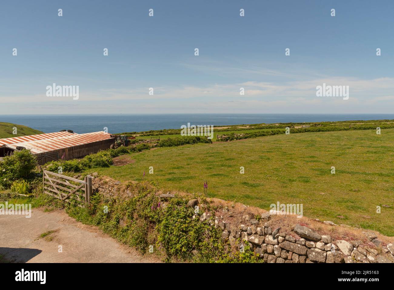 West Cornwall, England, UK. 2022. Coastal farmers field with dry stone ...