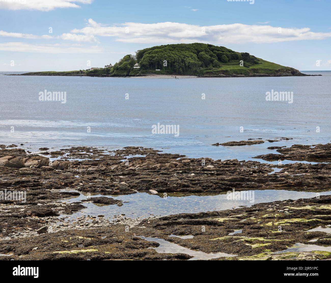 Looe Island from Hannafore, West Looe, Cornwall. According to local ...