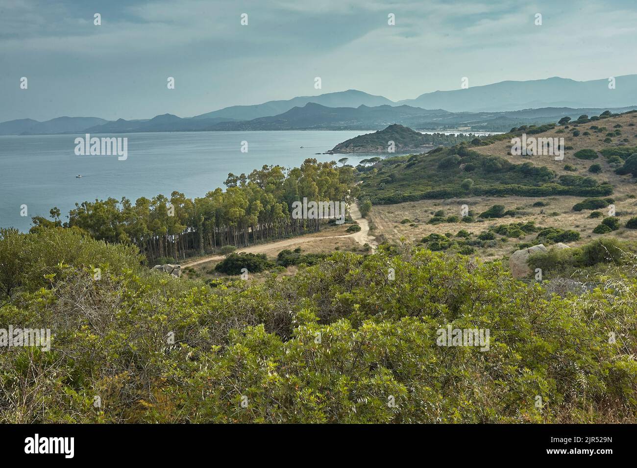 Typical landscape of the southern coast of Sardinia with its vegetation ...