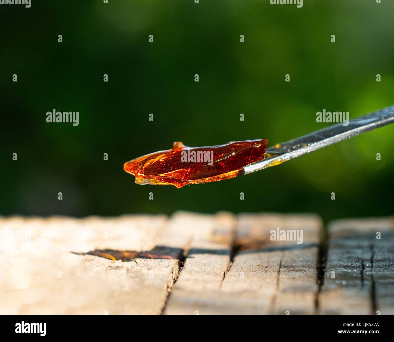 marijuana wax smear, cannabis dab with stick Stock Photo - Alamy