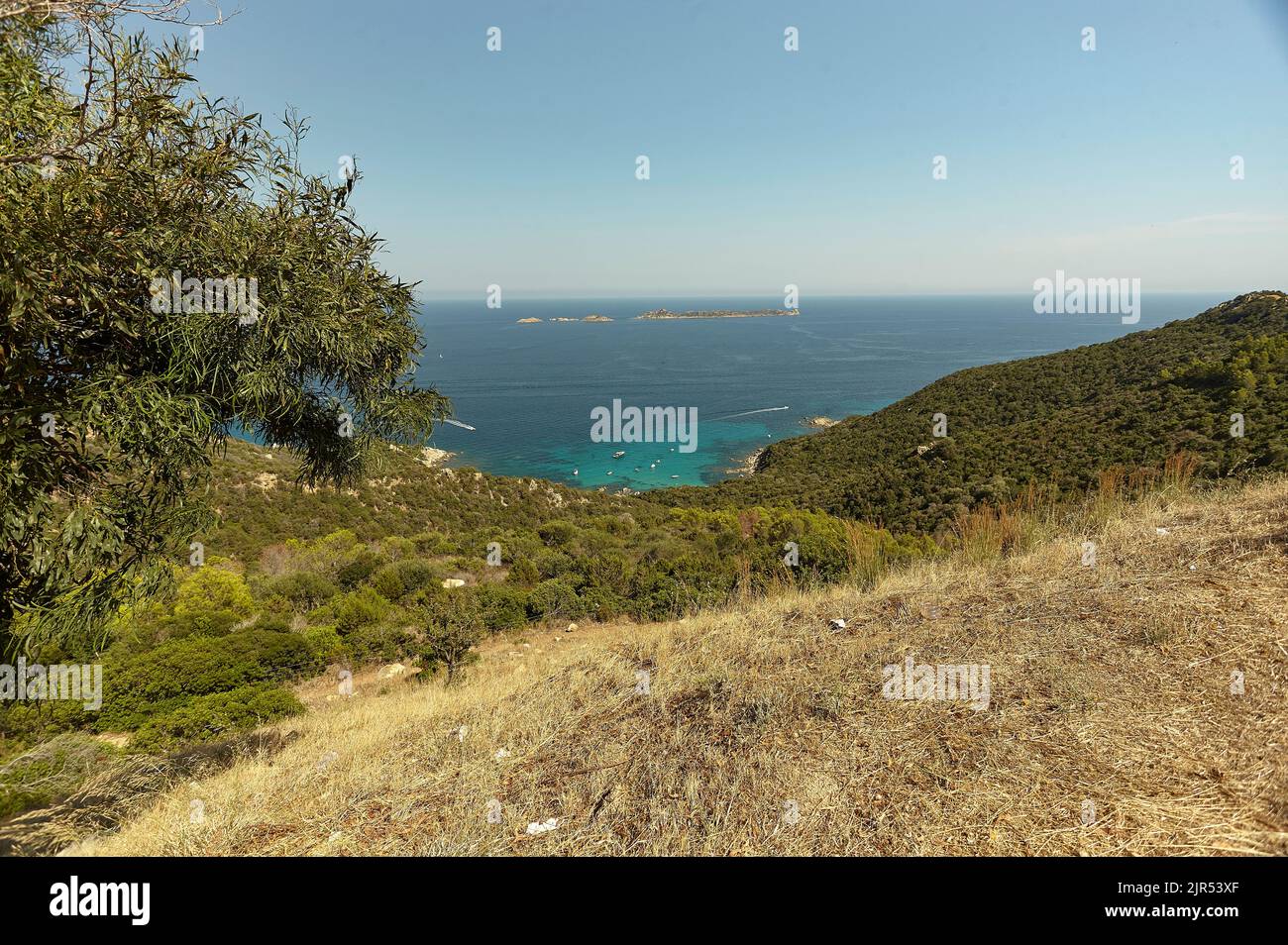Typical Mediterranean view of Sardinia, with plants and typical ...