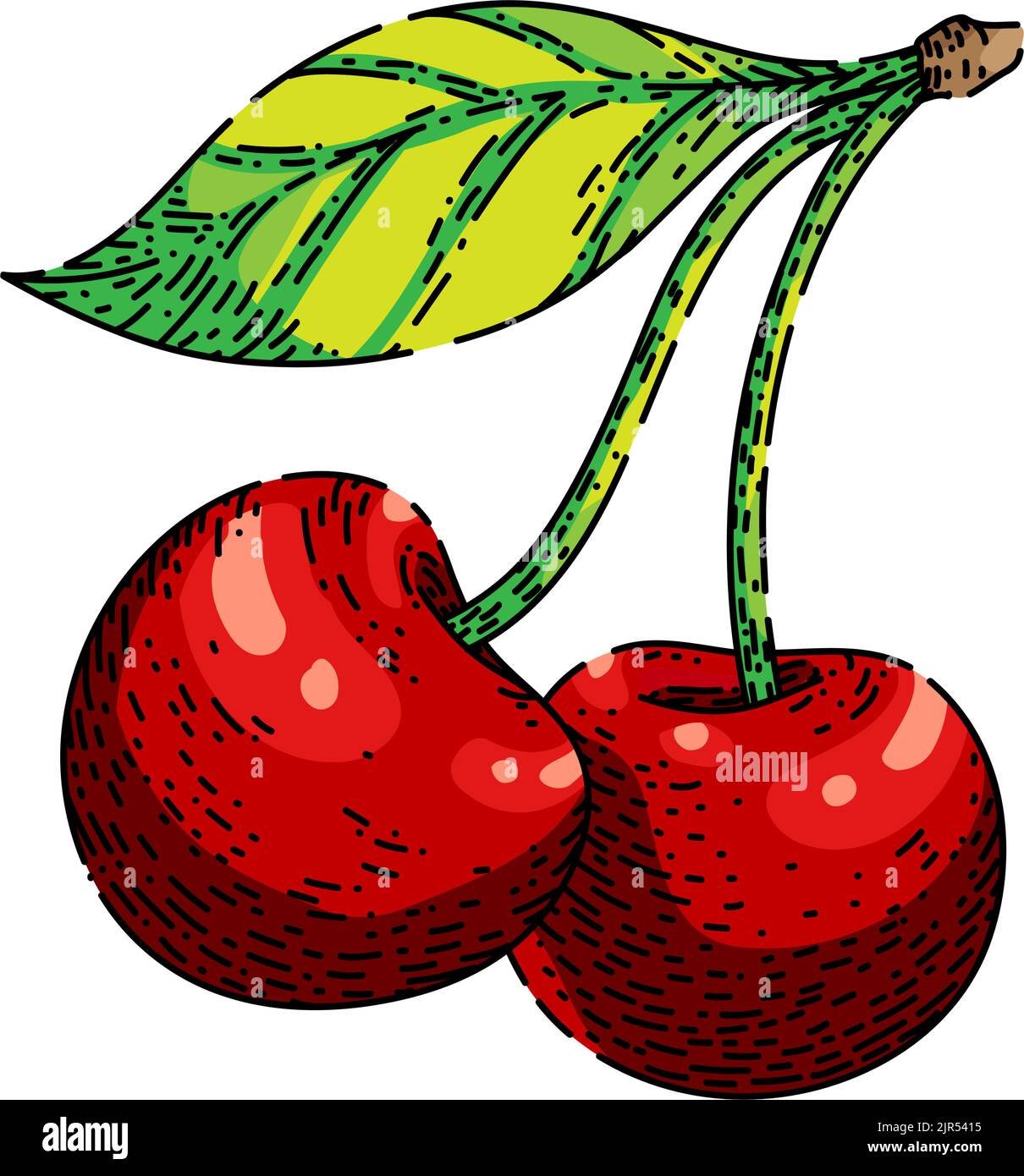 cherry leaf sketch hand drawn vector Stock Vector Image & Art - Alamy cherry leaf sketch hand drawn vector Stock Vector Image & Art - Alamy