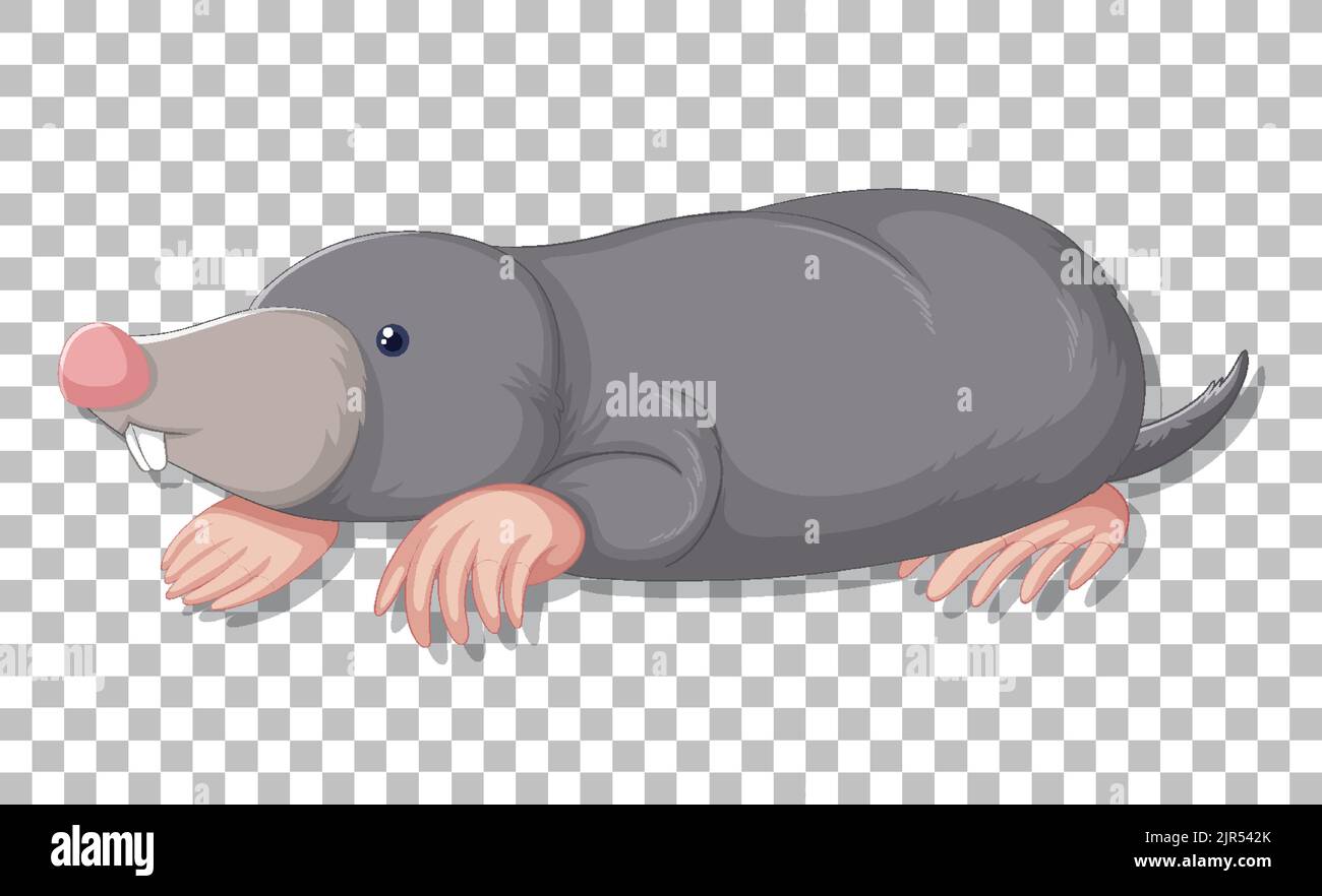 A mole cartoon on grid background illustration Stock Vector Image & Art ...