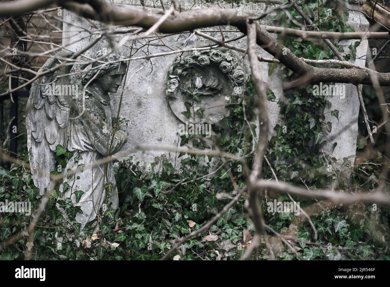 Weeping angel cemetery hi-res stock photography and images - Alamy