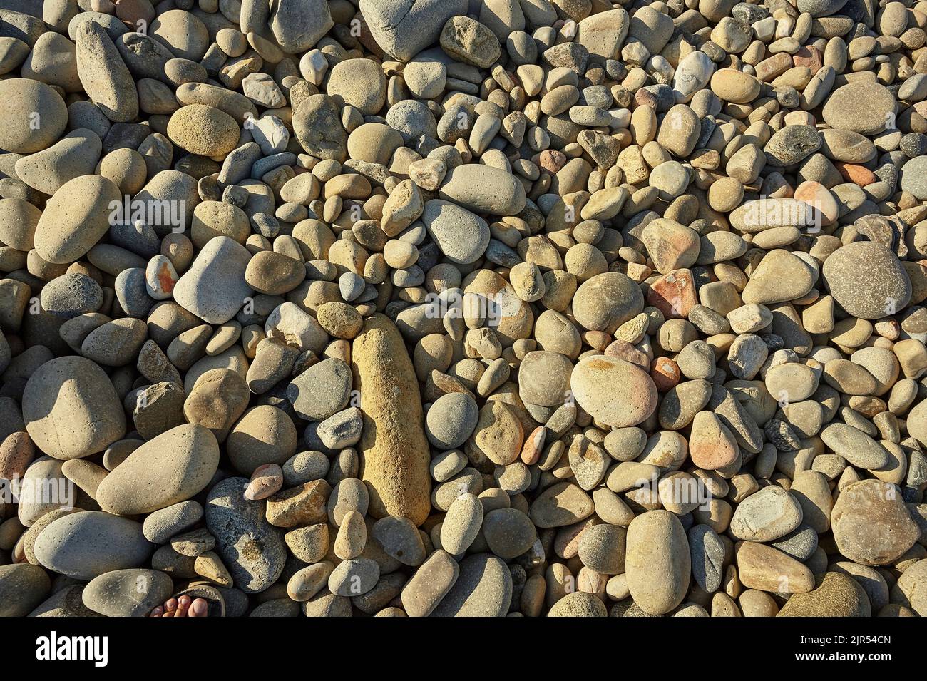 Texture of light stones of different shapes and sizes typical of the ...