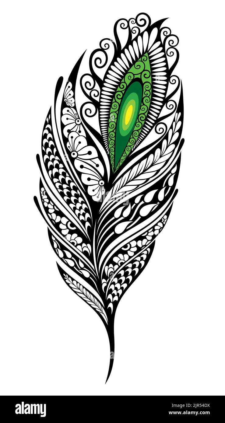 Peacock S Feather Images Clipart