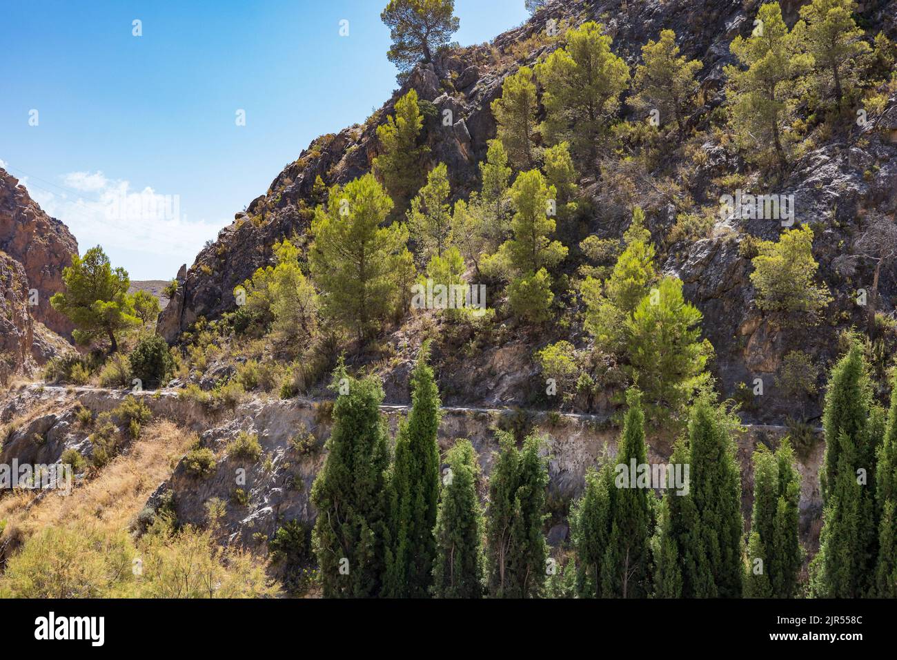 Rambla de Oria in the Andalusian Mountains. with the Landscape Showing ...
