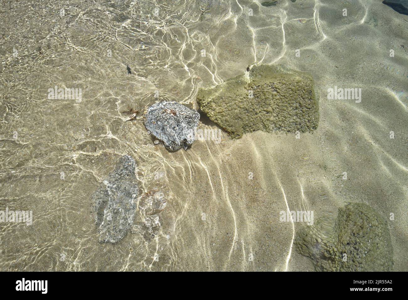 Waves background distortion effect hi-res stock photography and images ...
