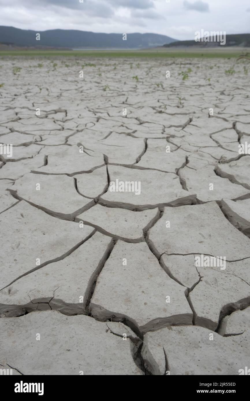 Dry ecosystem desolation hi-res stock photography and images - Alamy