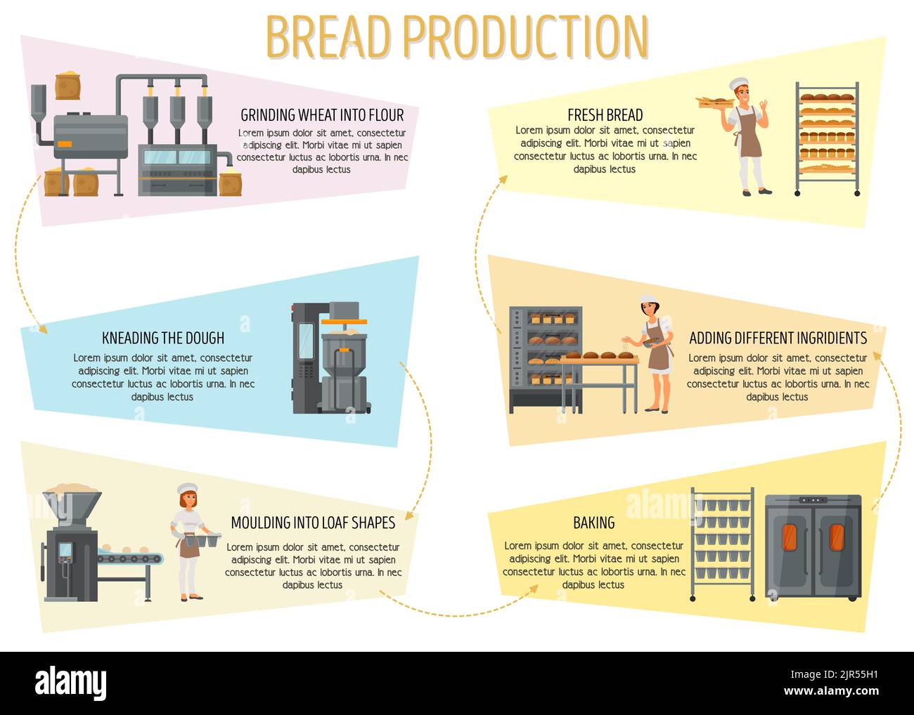 Bread production infographics. Vector flat style design illustration ...