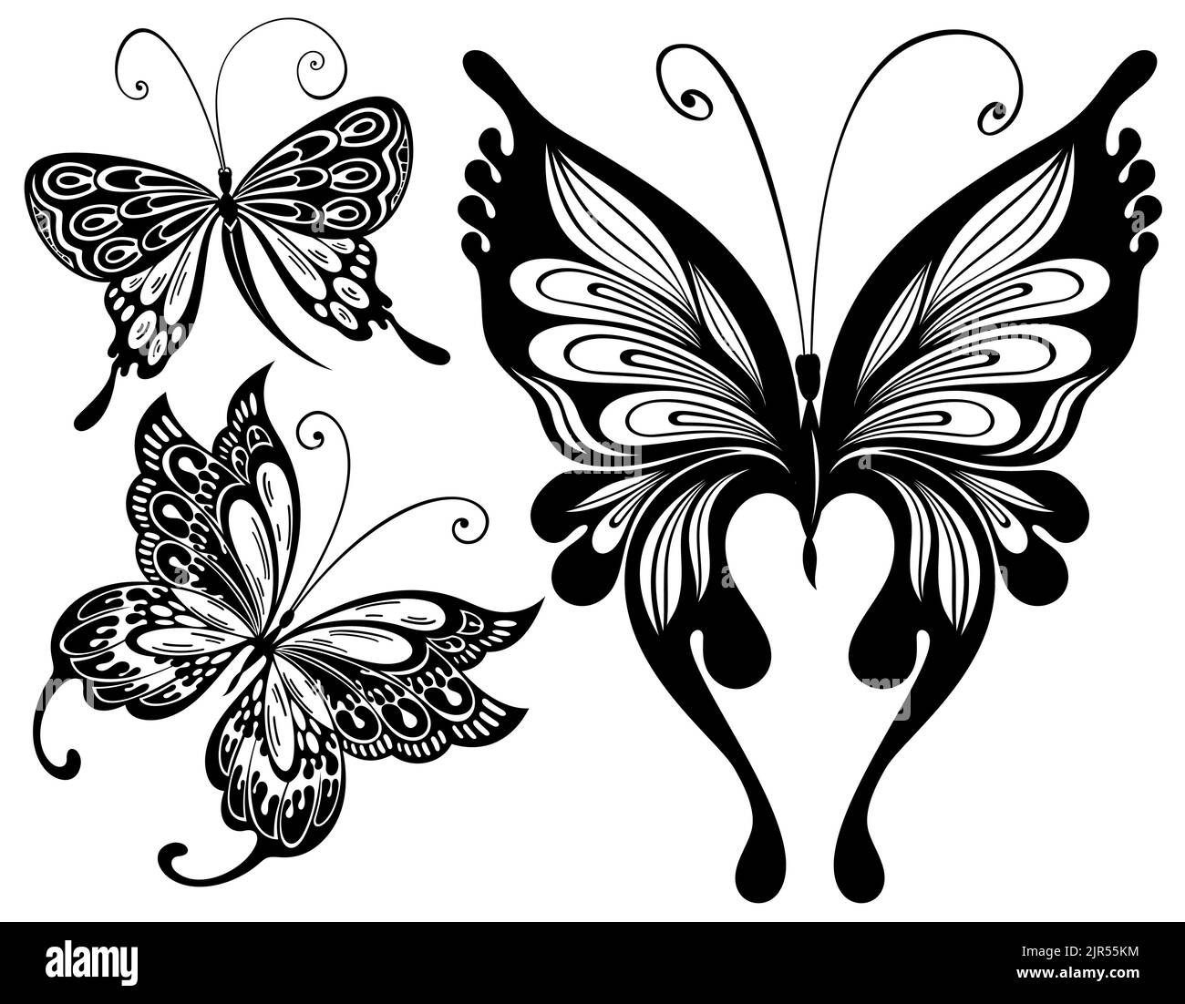 Curled wings Stock Vector Images - Alamy