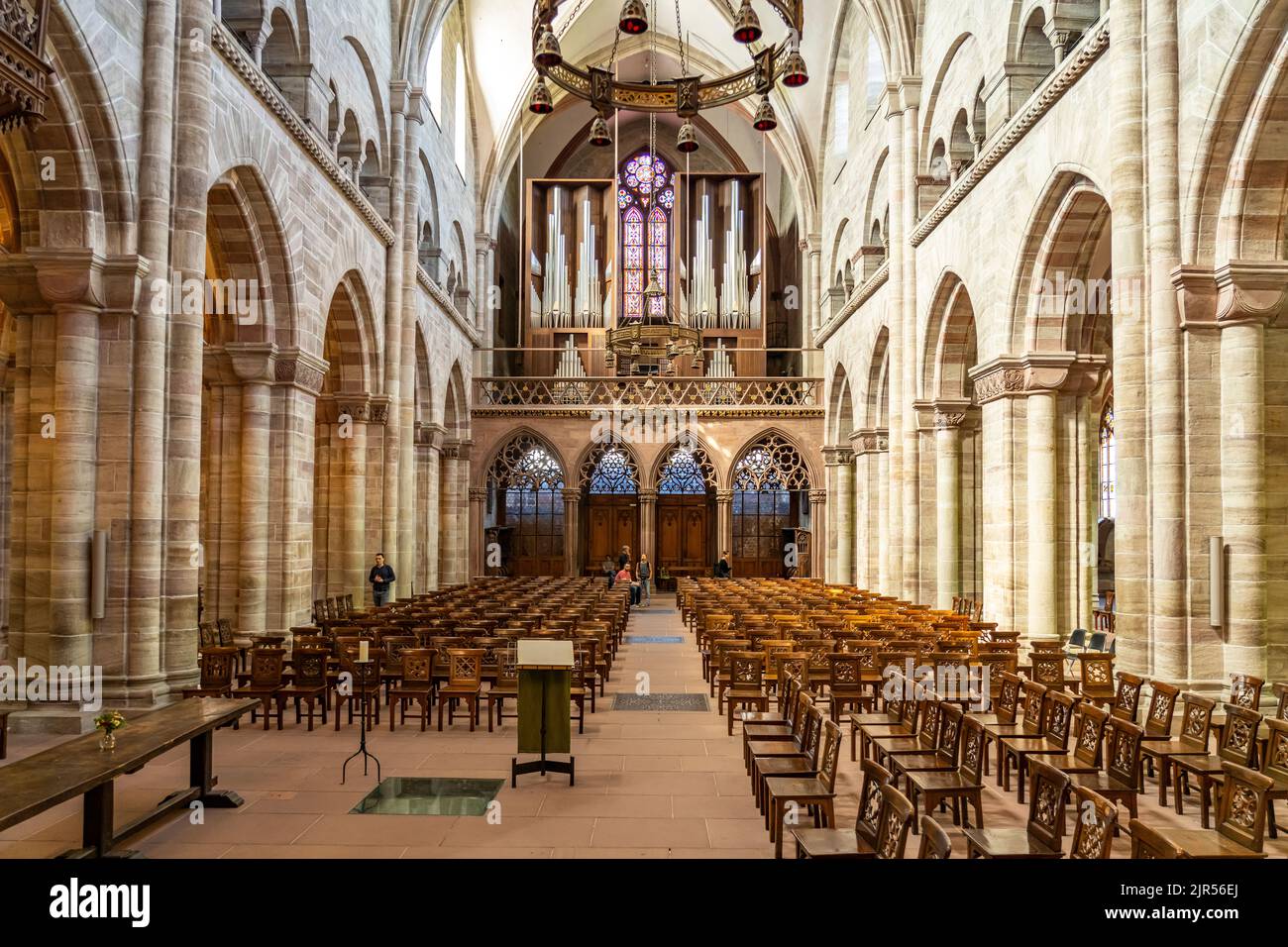 Innenraum und Orgel des Basler Münster in Basel, Schweiz, Europa | The ...