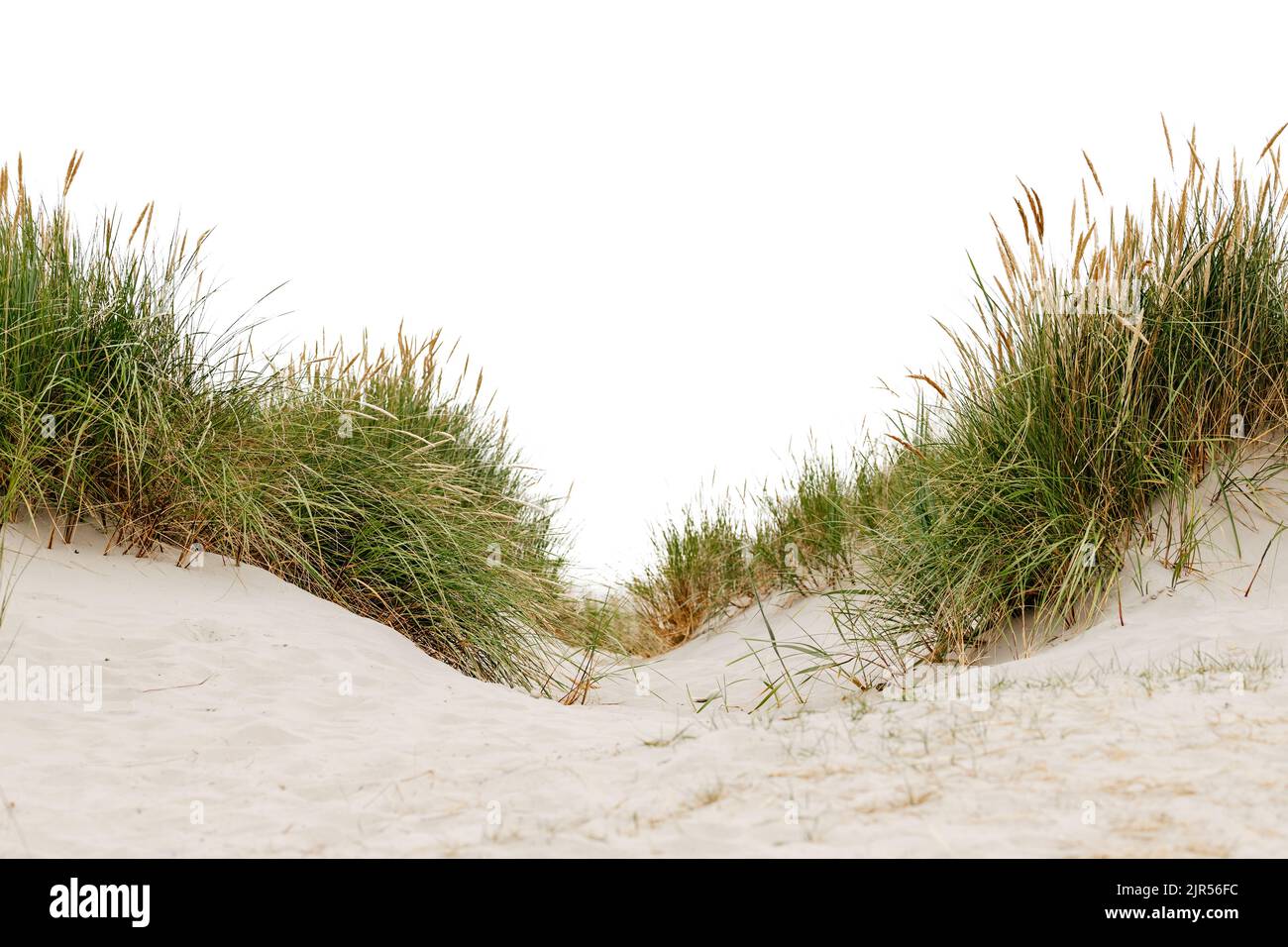 Wadden sea of the north sea hi-res stock photography and images - Alamy