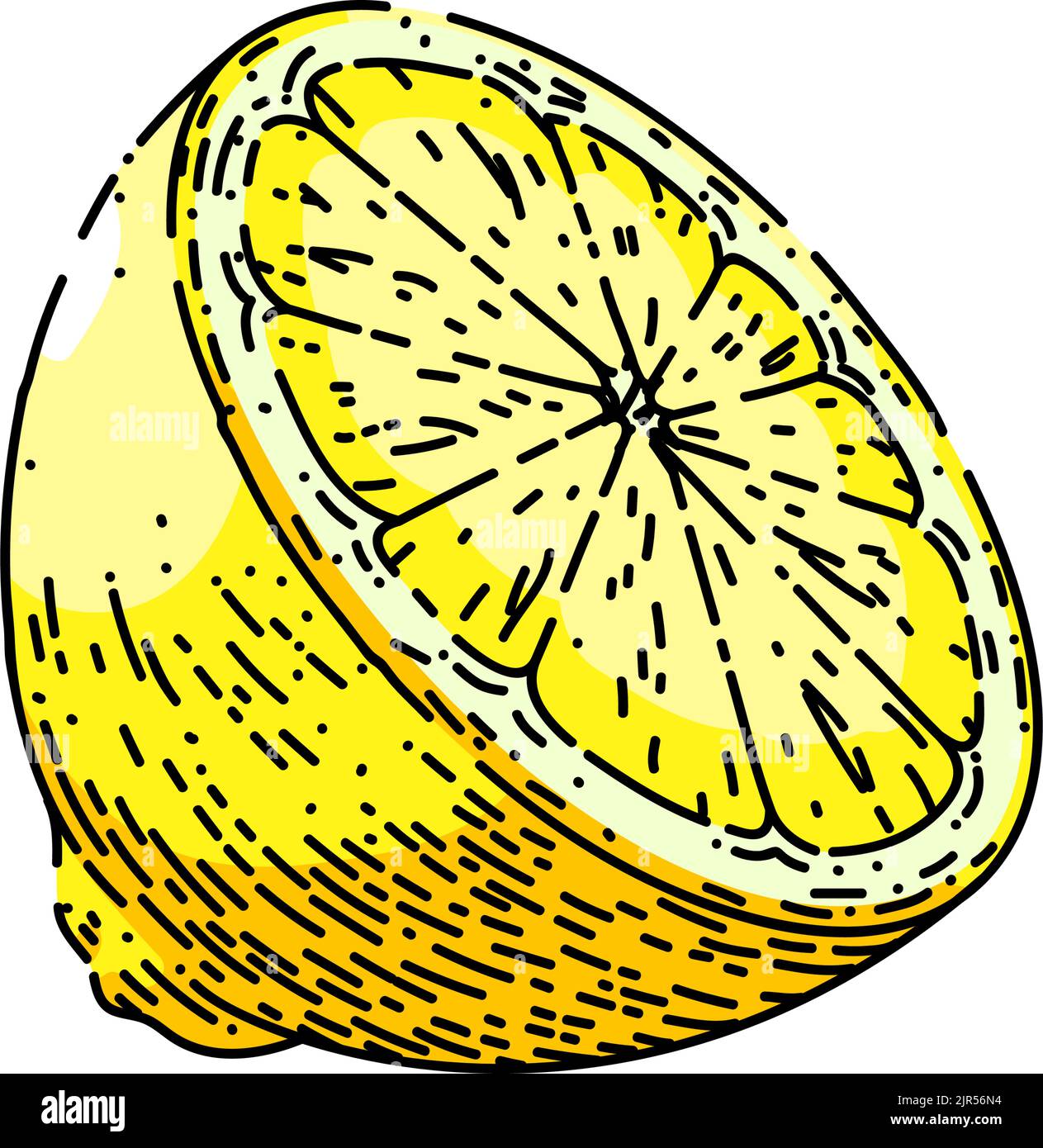cut lemon sketch hand drawn vector Stock Vector Image & Art - Alamy
