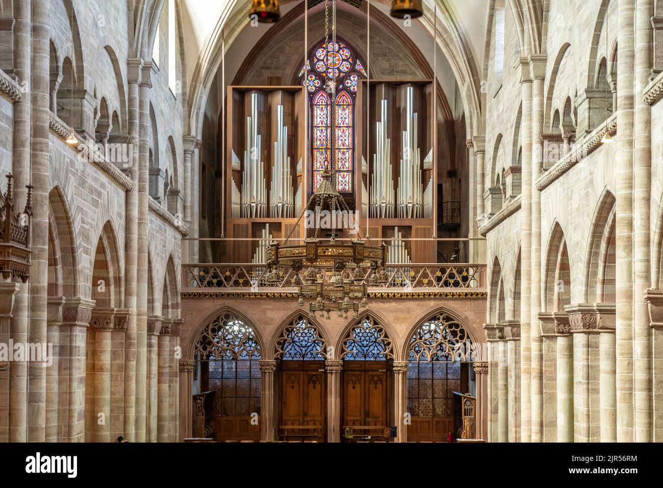 Kirchenorgel des Basler Münster in Basel, Schweiz, Europa | The Basel ...