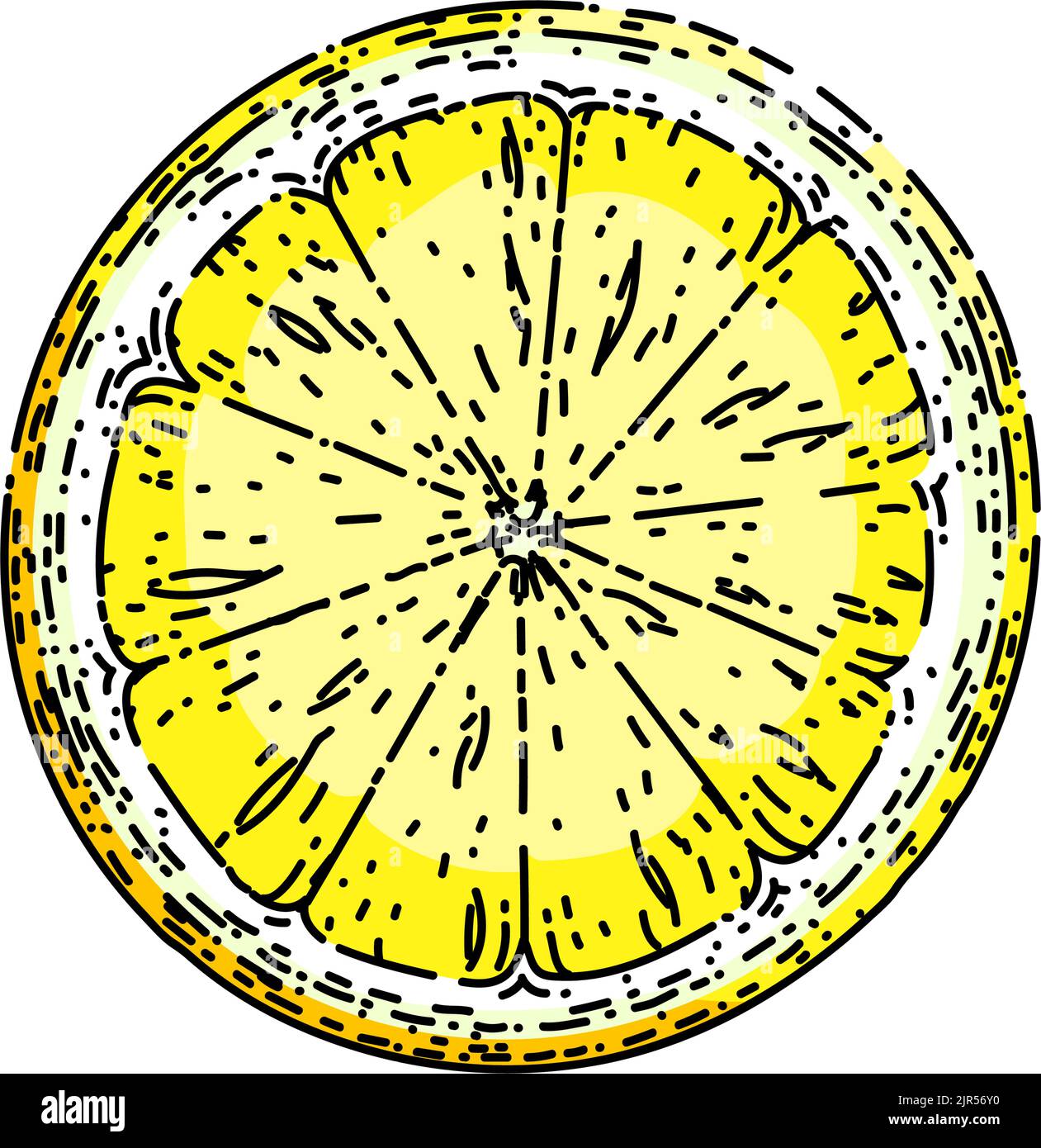 lemon ripe slice sketch hand drawn vector Stock Vector Image & Art - Alamy