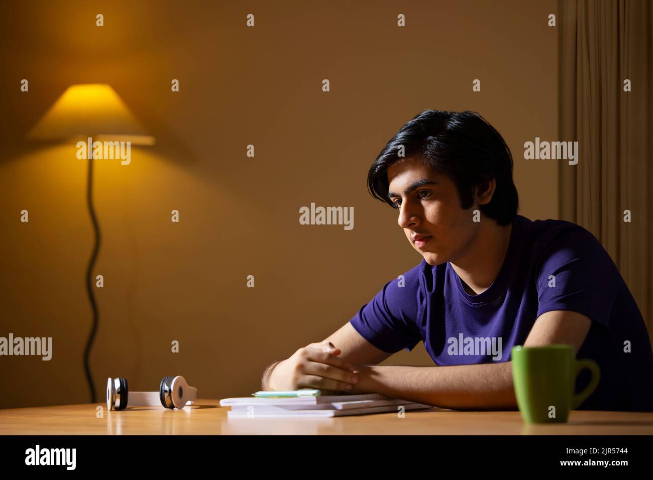 Portrait of teenage boy studying at home Stock Photo - Alamy