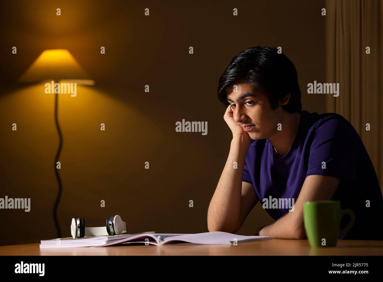 Portrait of a thoughtful teenage boy doing homework at home Stock Photo ...