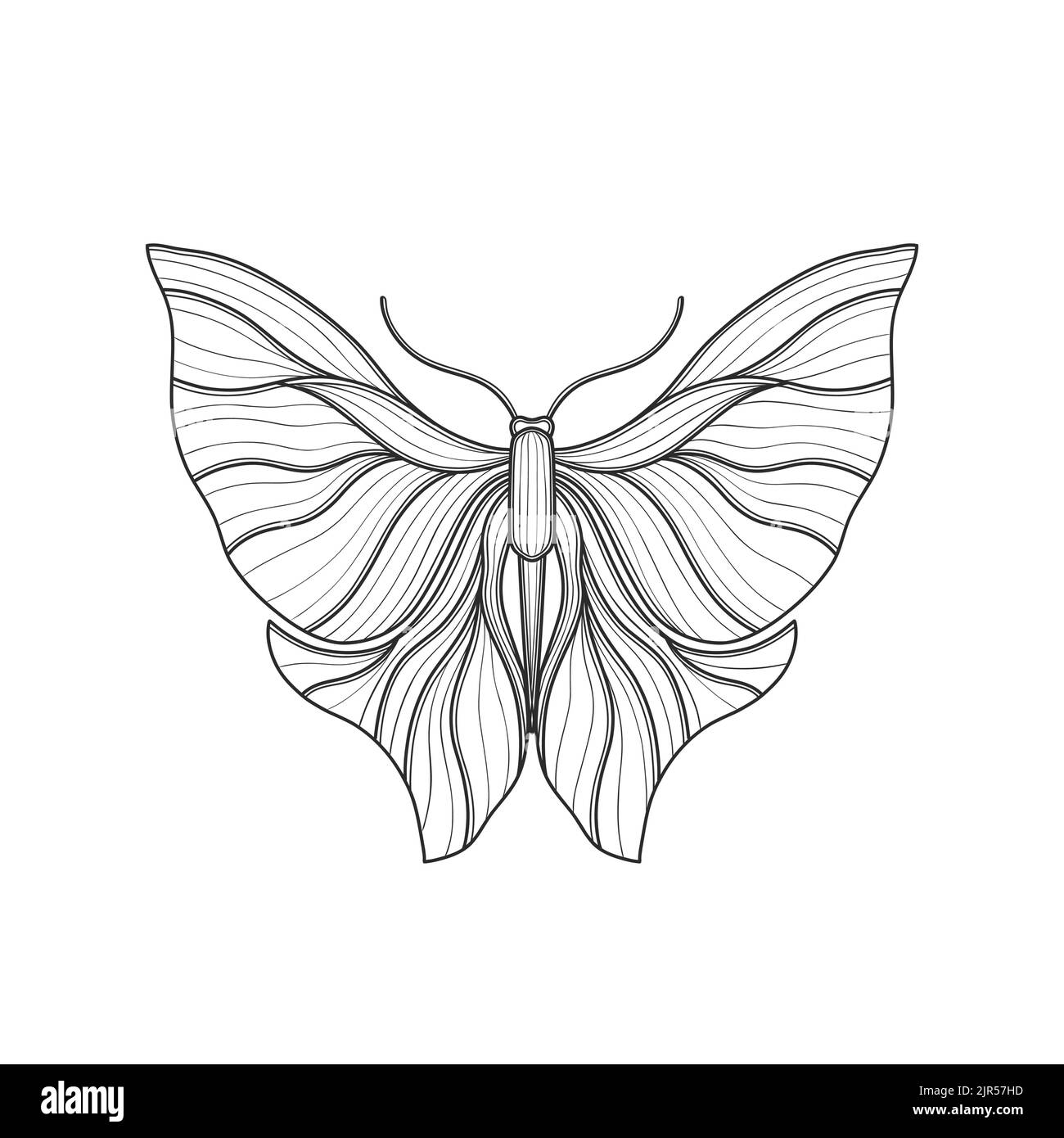 Art nouveau style basic butterfly element. 1920-1930 years vintage ...