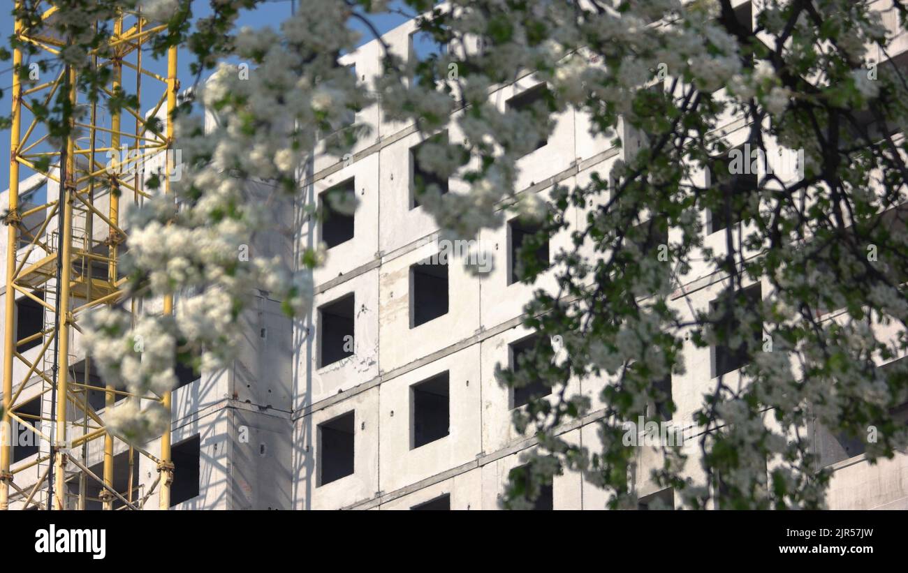 White spring flowers over construction building background. Unfinished ...