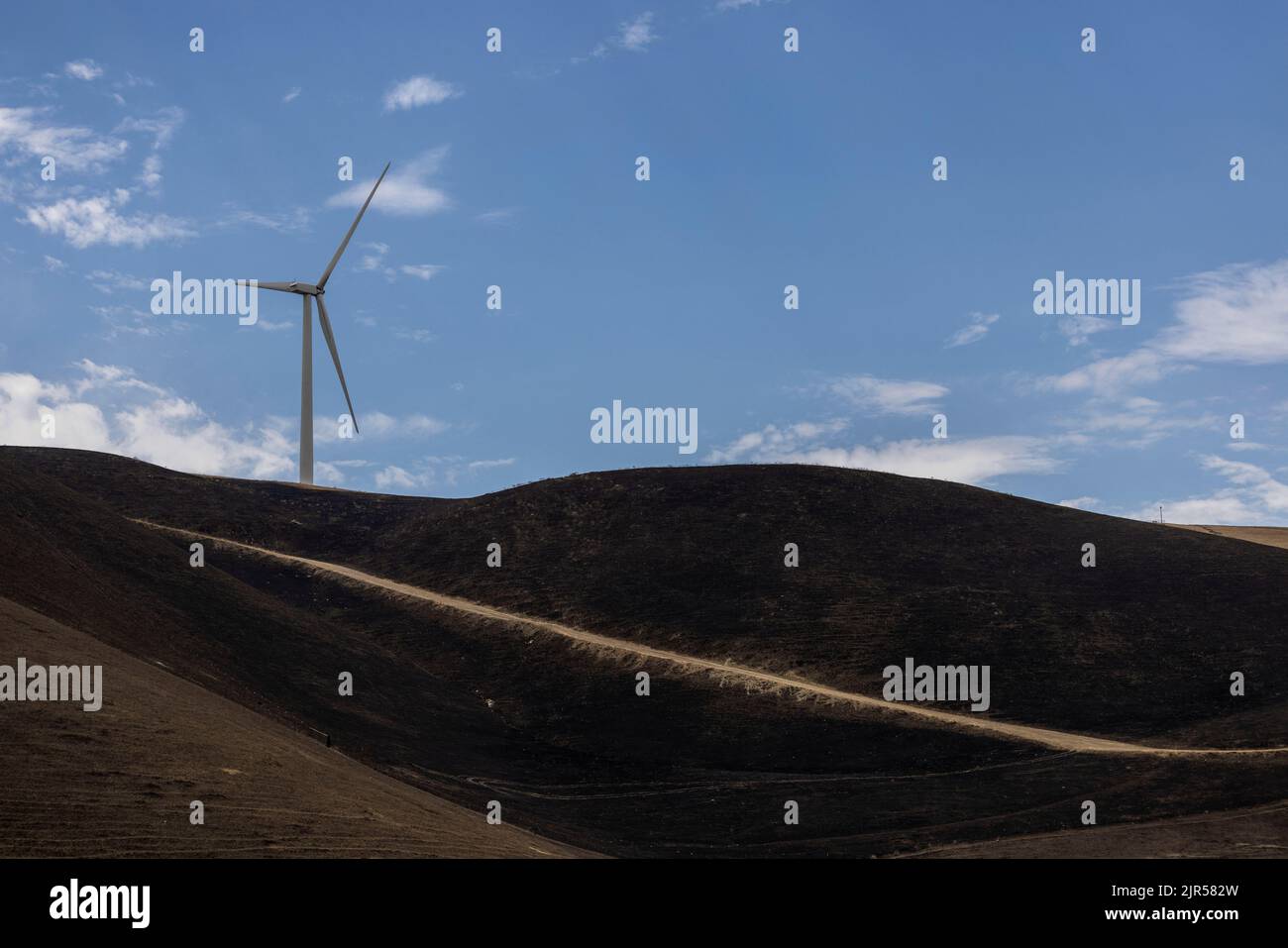 2022 record breaking heat hi-res stock photography and images - Alamy