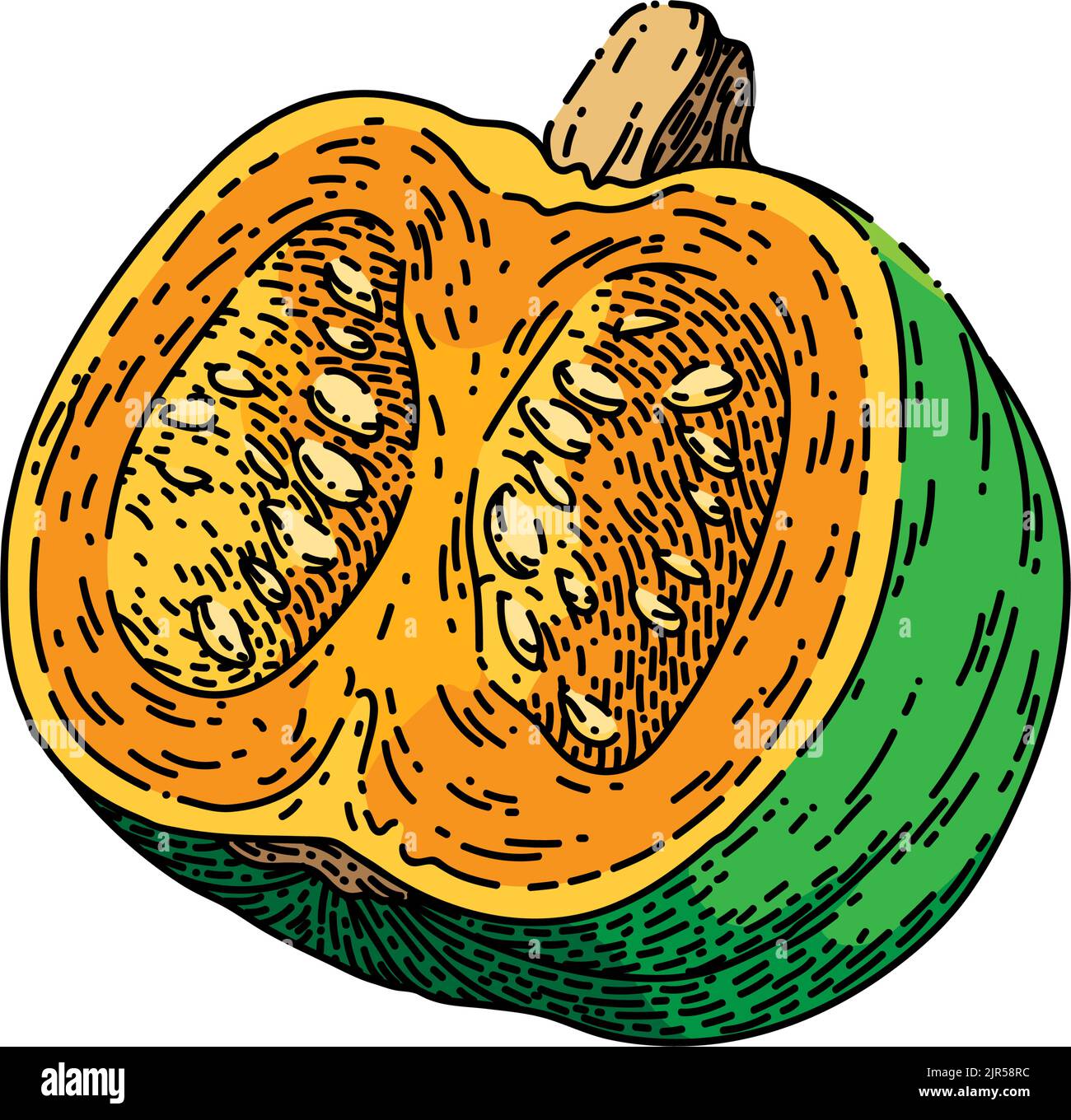Cut open pumpkin Stock Vector Images - Alamy