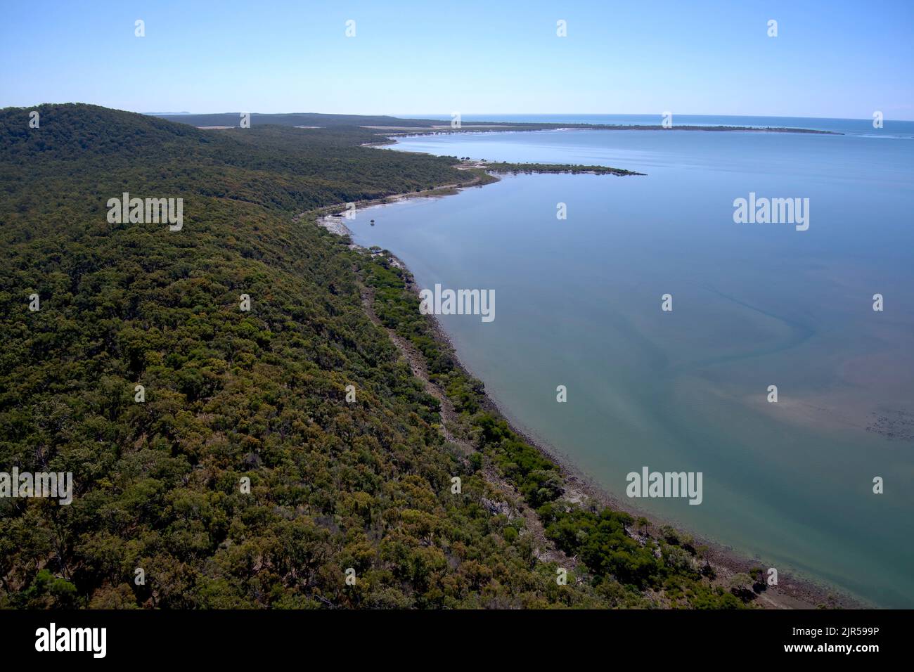 Aerial of the mangrove lined shorres of Curtis Island Queensland ...