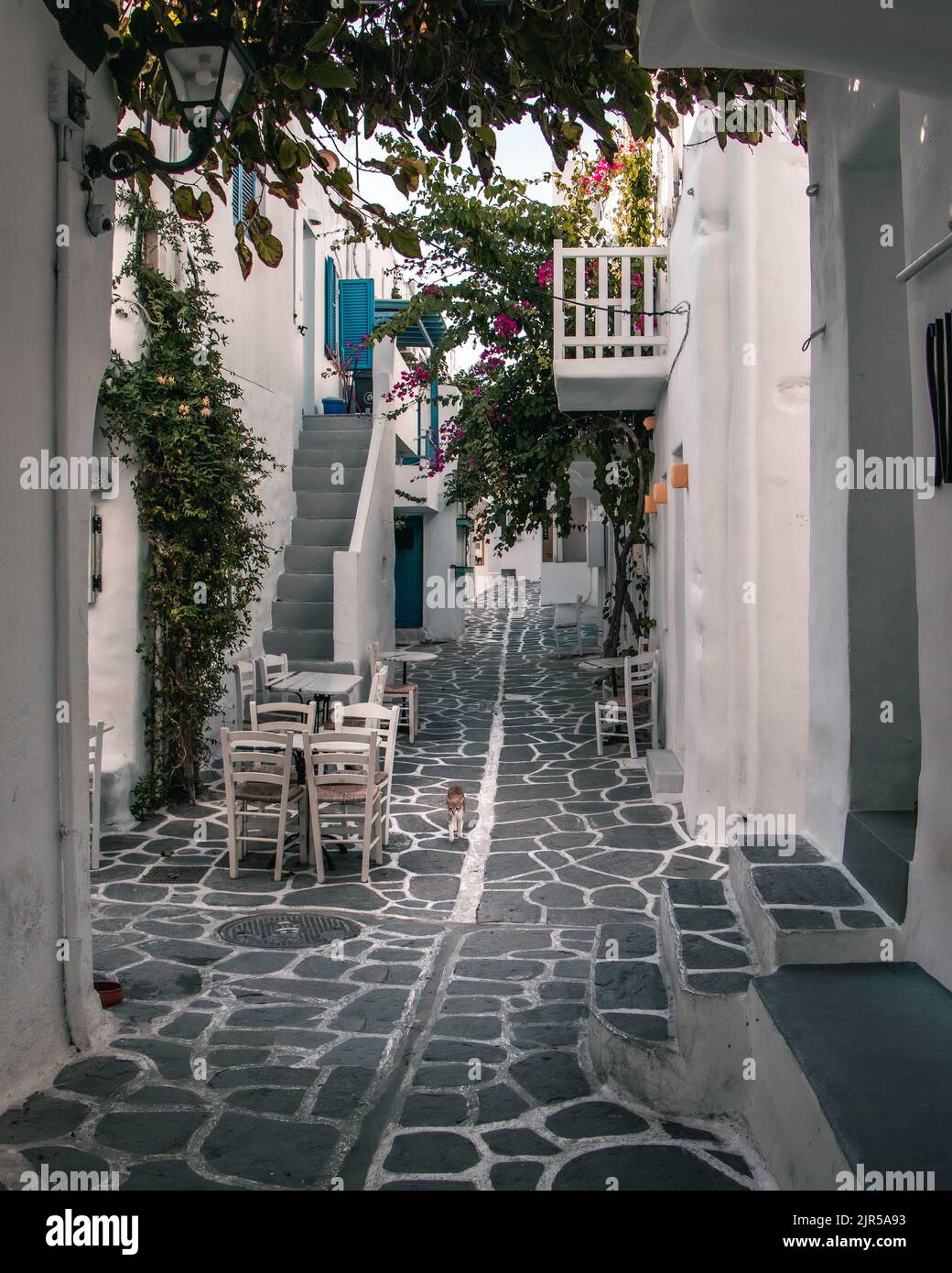 The beautiful houses and streets in the village of Lefkes in Paros ...
