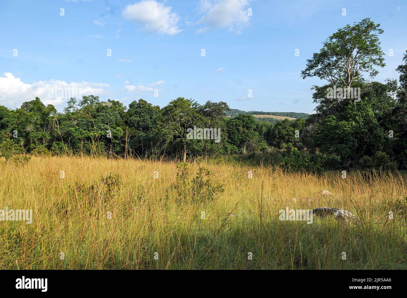 Partial view of the Lope National Park located in Booue(Central Gabon ...