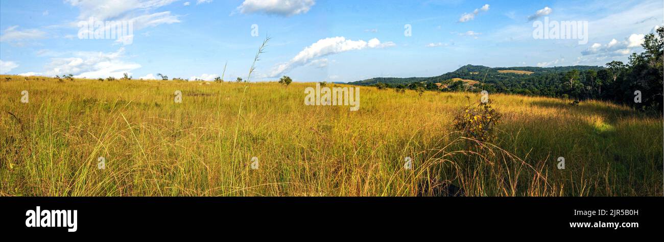Partial view of the Lope National Park located in Booue(Central Gabon ...