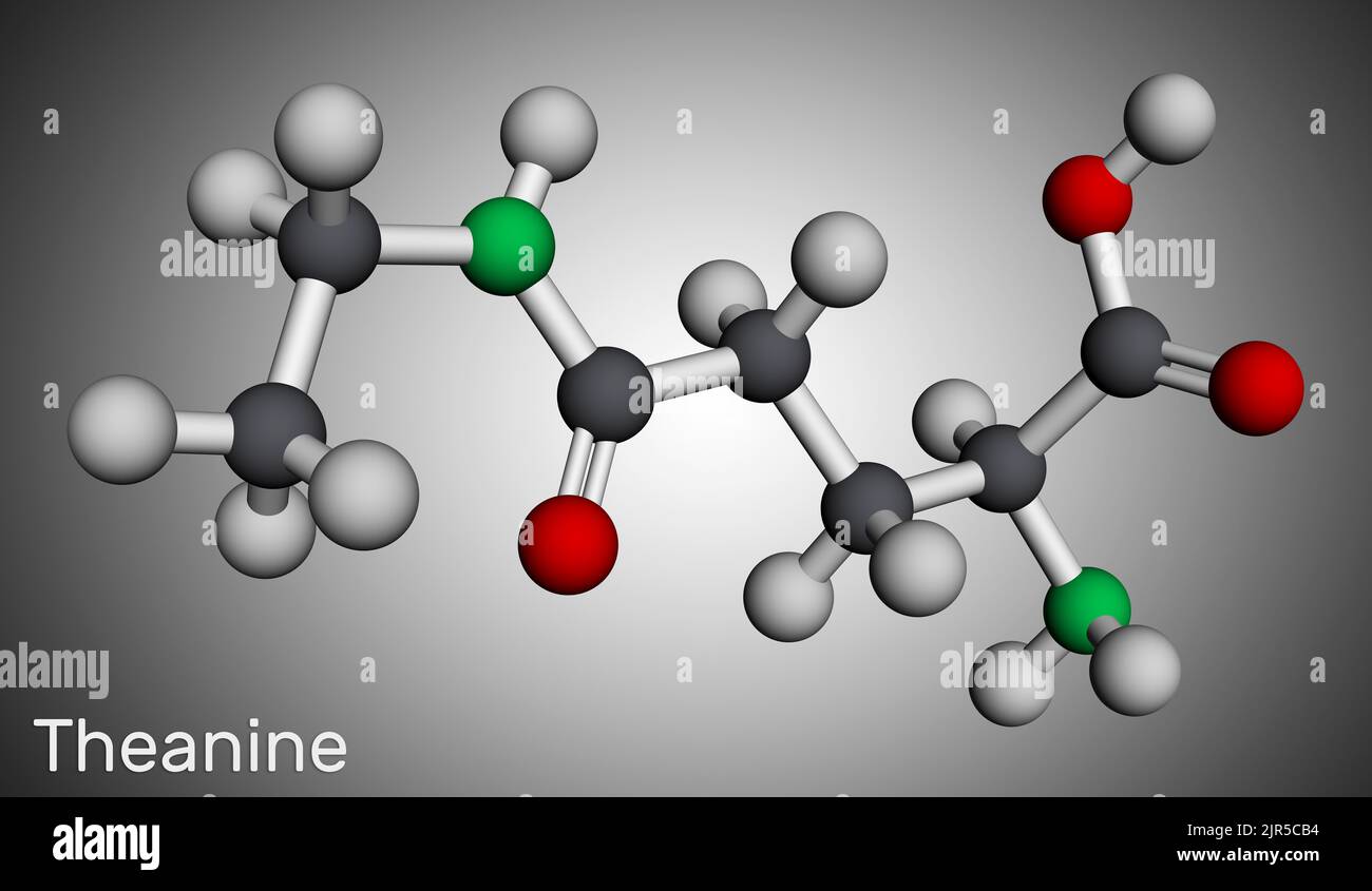 Molecular model glutamine hi-res stock photography and images - Alamy