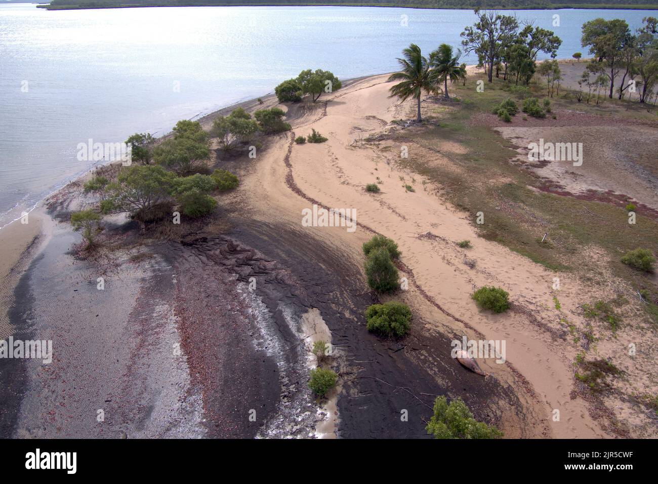 Aerial of mangrove lined beach proposed site of bridge to Kangaroo ...