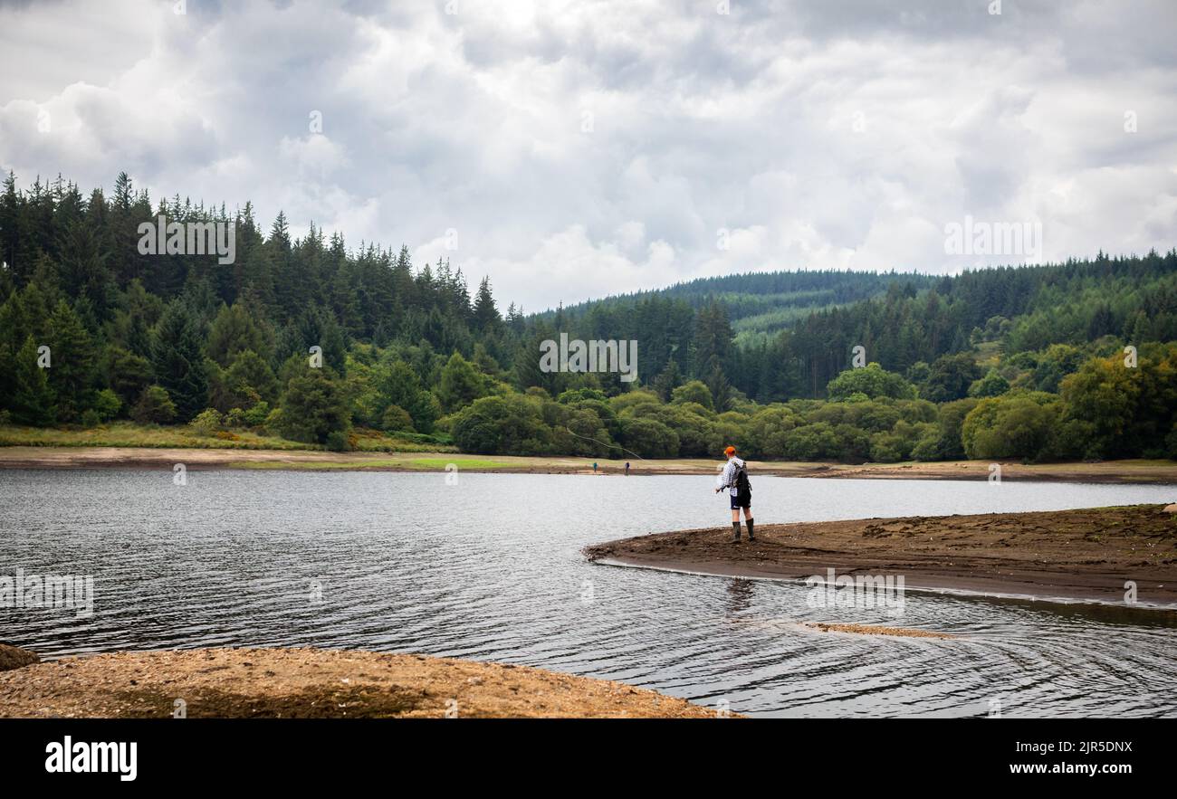 Fly fisher tempts trout during low water on Fernworthy Reservoir on ...