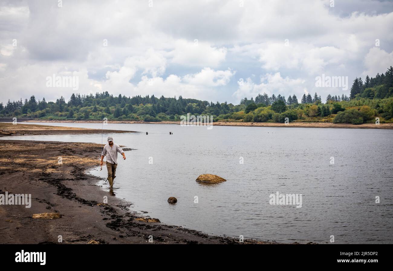 Fly fisher tempts trout during low water on Fernworthy Reservoir on ...