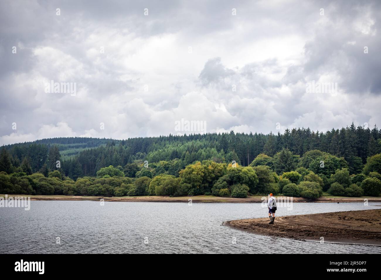 Fly fisher tempts trout during low water on Fernworthy Reservoir on ...